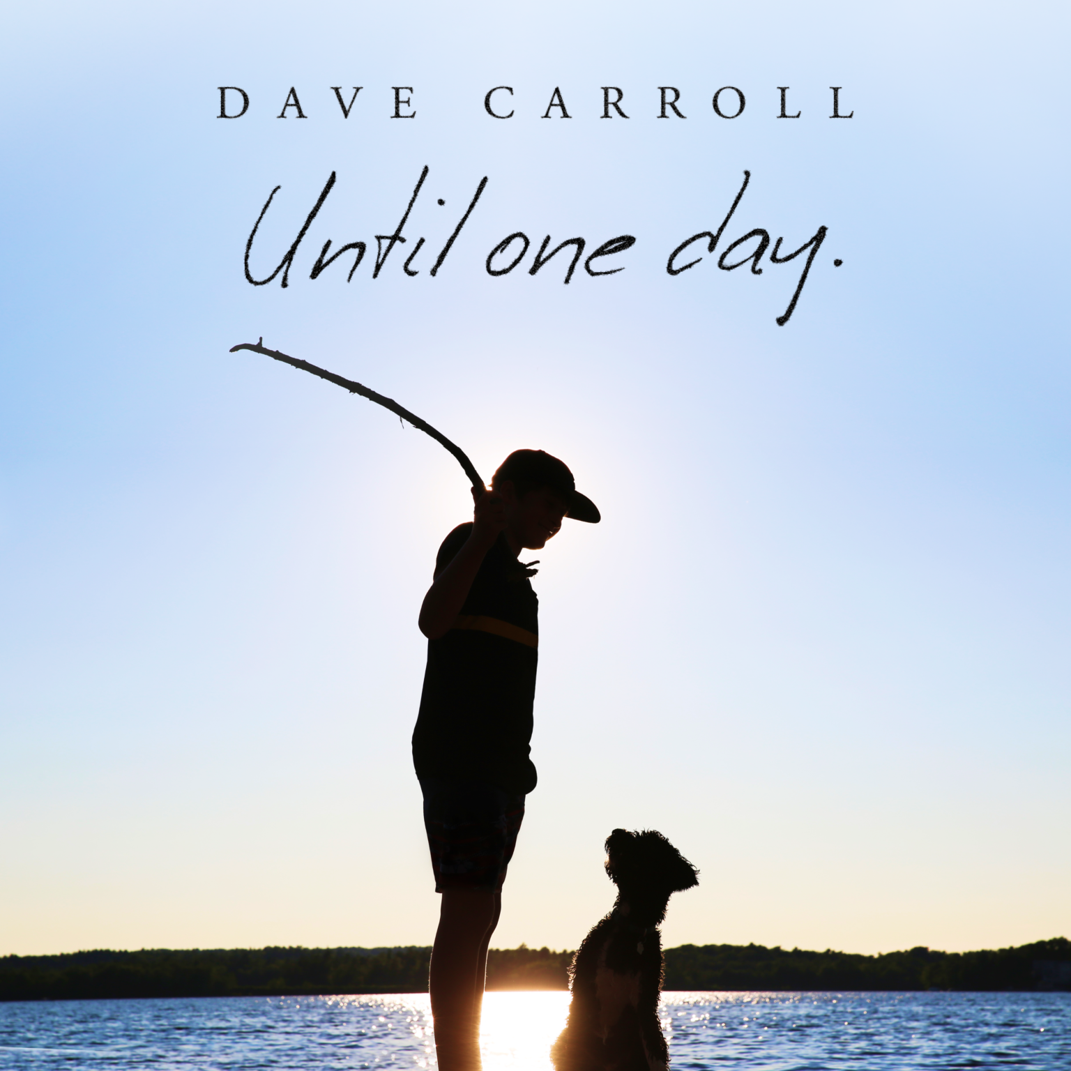 Dave Carroll | An award winning singer-songwriter, professional speaker ...